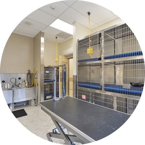 Pet Medical Equipment & Supplies for Veterinary Professionals - PetMed ...