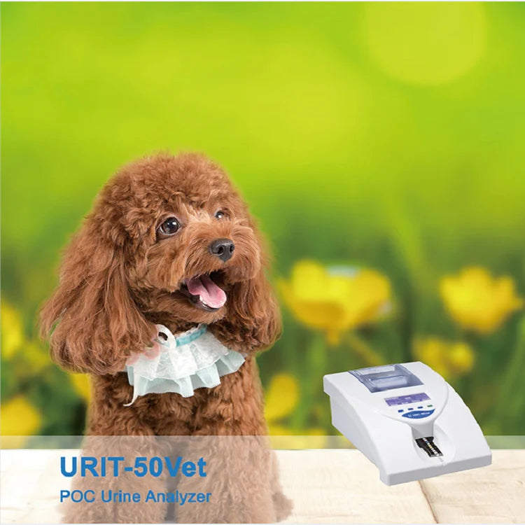 Veterinary Biochemistry Analyzers & Reagents | PetMed Tools – Petmedtools